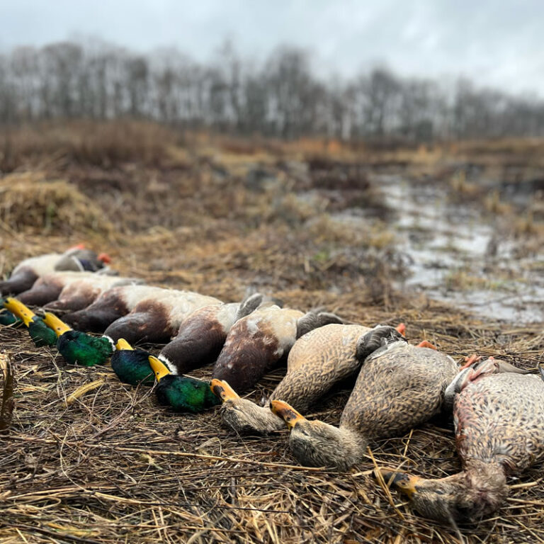 Lost Bridge Duck Club