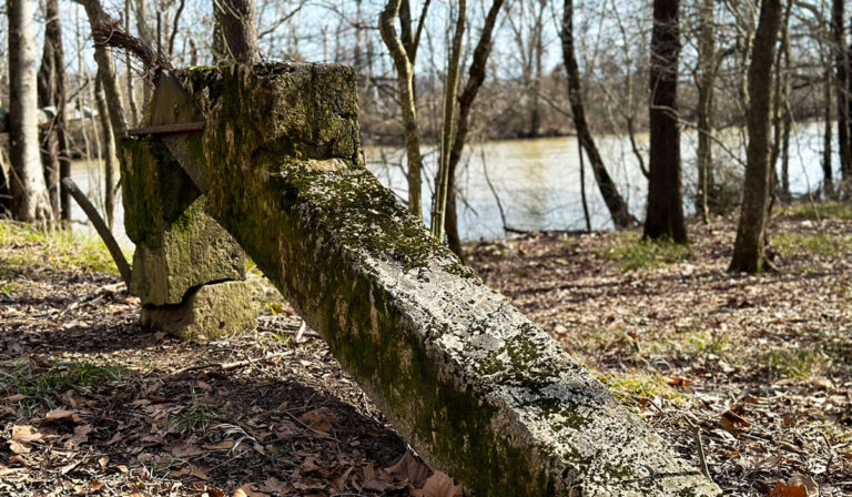 Lost Bridge Duck Club
